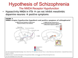 Glutamate & schizophrenia | PPT