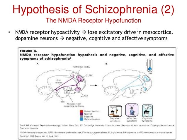 Glutamate & schizophrenia