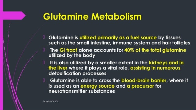 GLUTAMINE IN NUTRITIONAL MANANGMENT