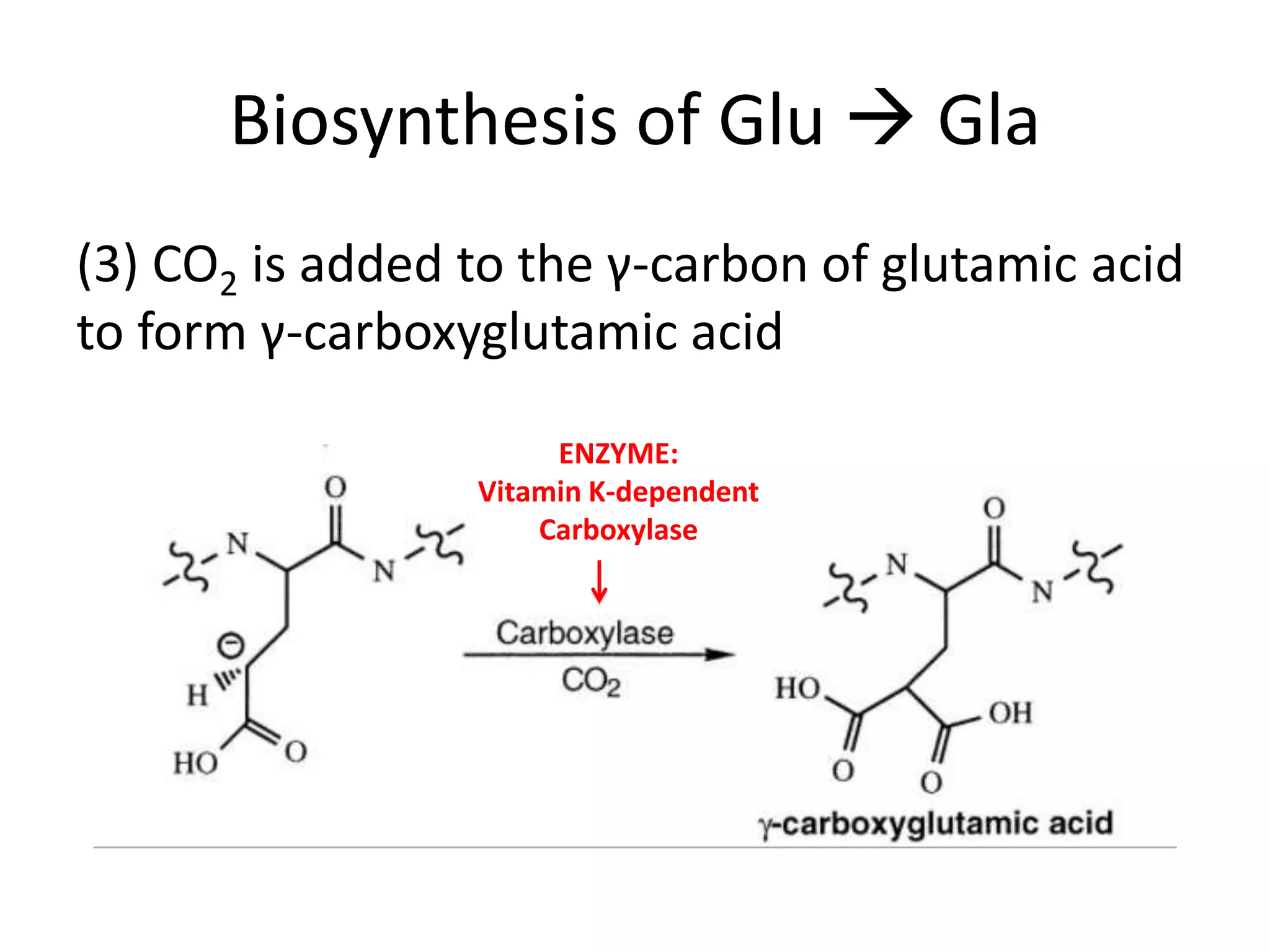 glutathione, vitamin-K & biological oxidation.pptx