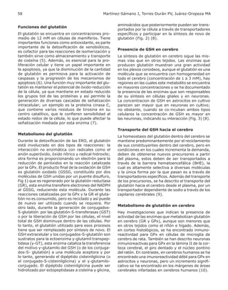 Glutation | PDF