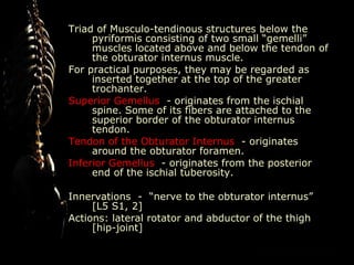 GLUTEAL REGION And POST THIGH | PPT