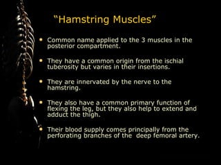 GLUTEAL REGION And POST THIGH | PPT