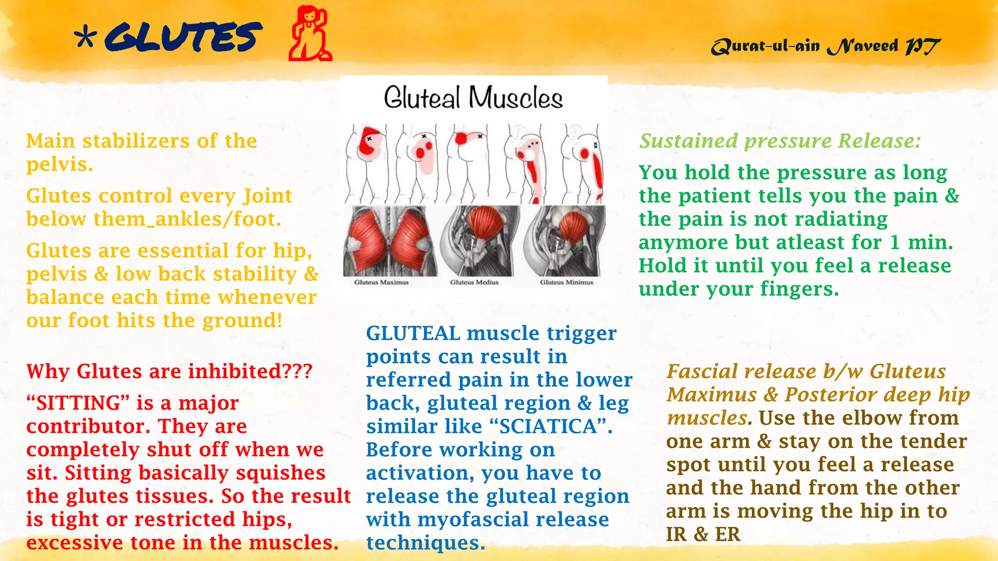 Gluteal muscles. | PDF