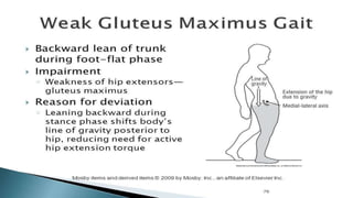 Gluteal Muscles.pptx
