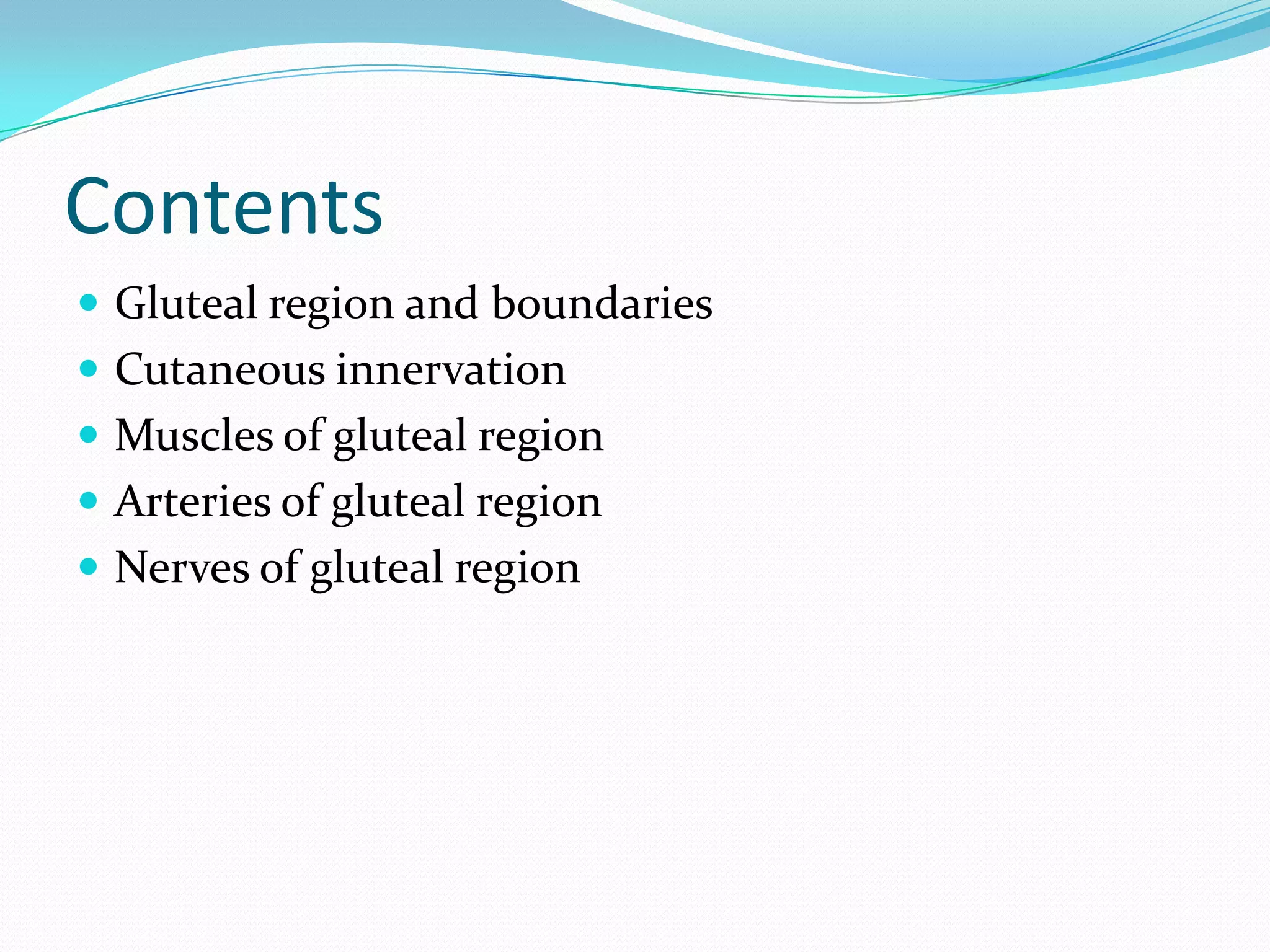 Anatomy of Gluteal Region | PPTX