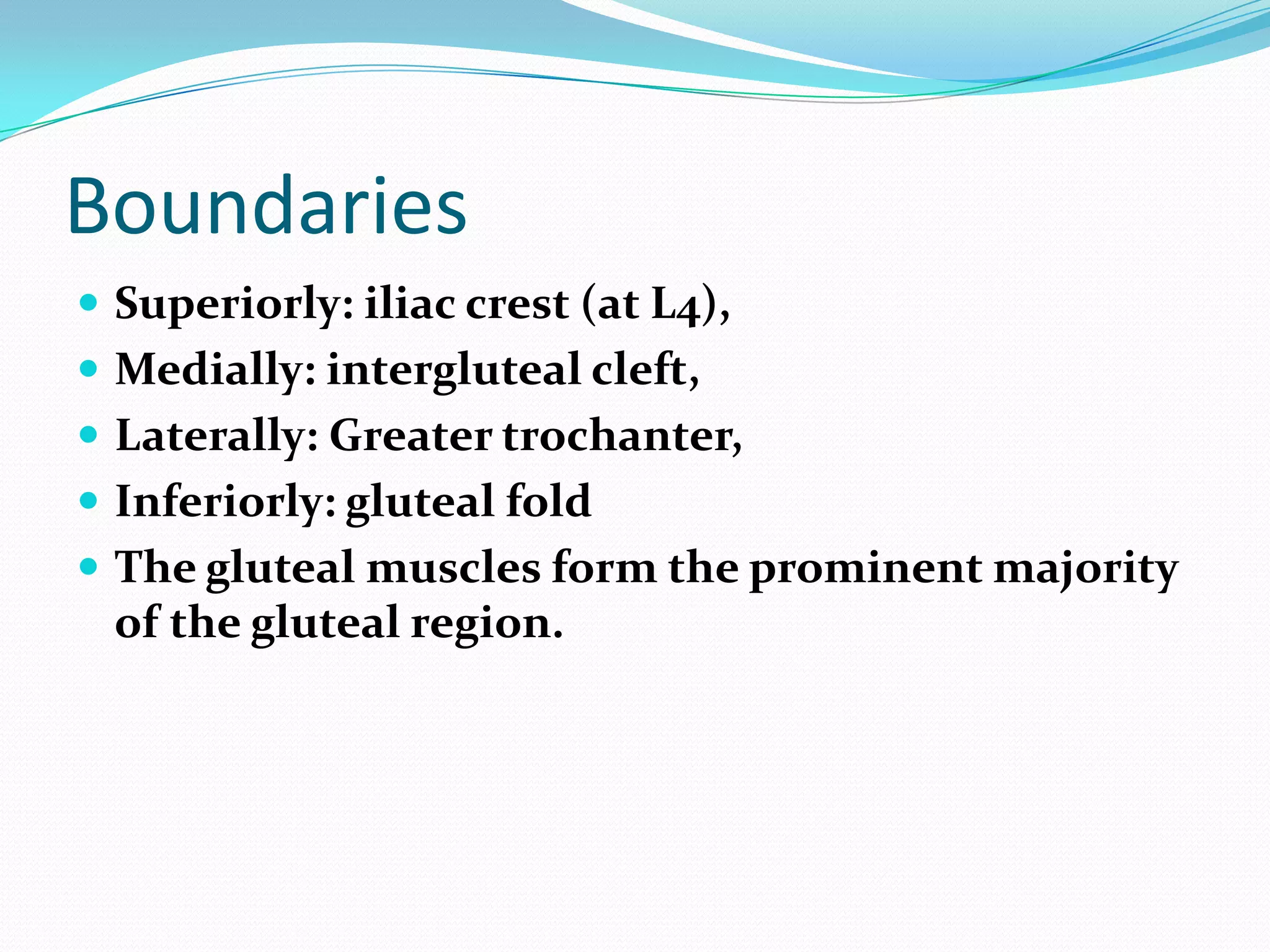 Anatomy of Gluteal Region | PPTX