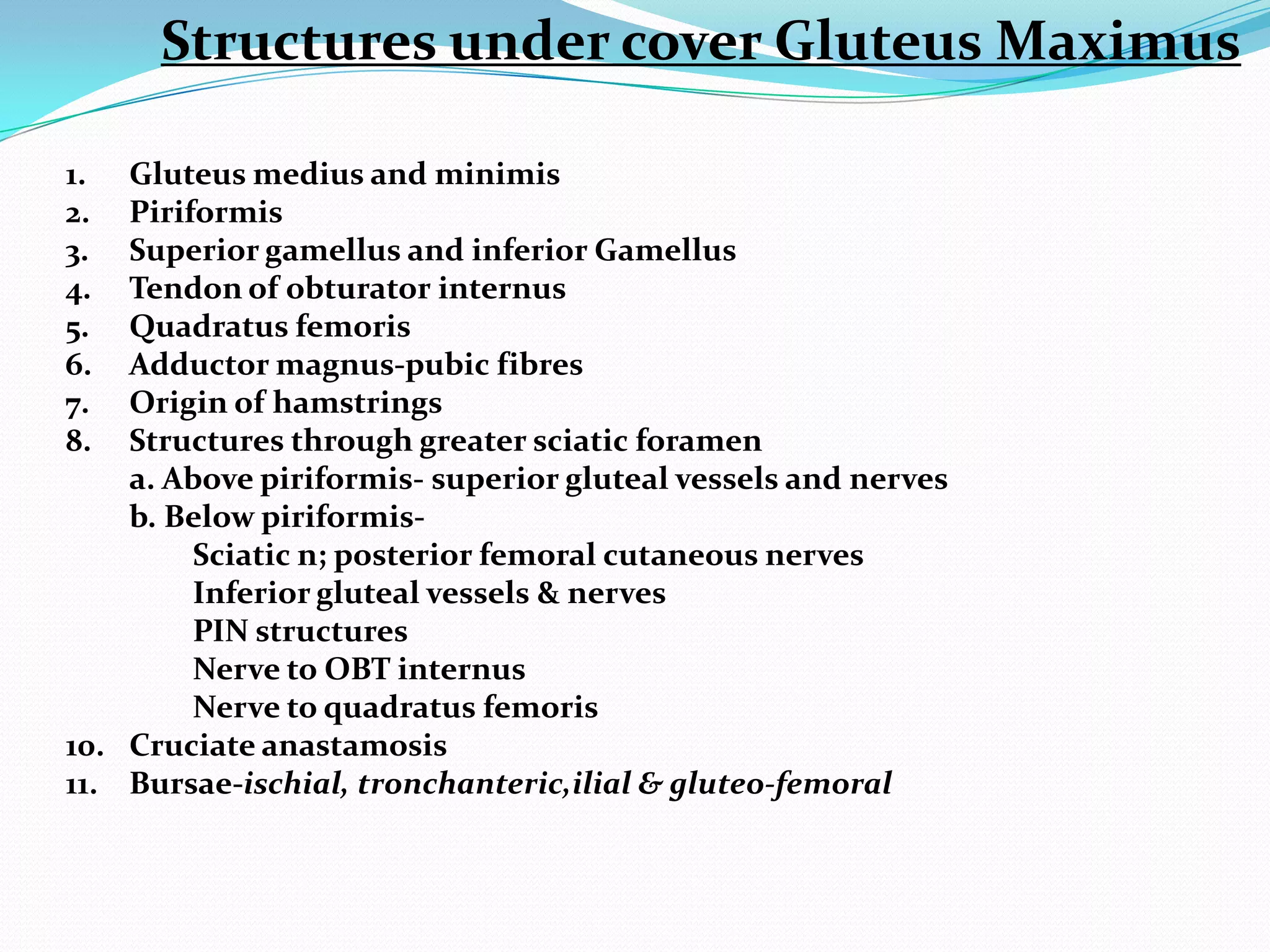 Anatomy of Gluteal Region | PPTX