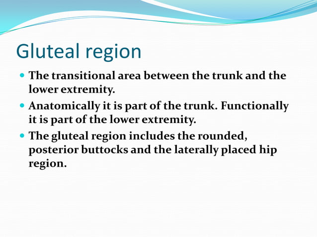 Anatomy of Gluteal Region | PPTX