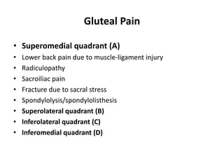 Gluteal region.DK.2018. | PPTX