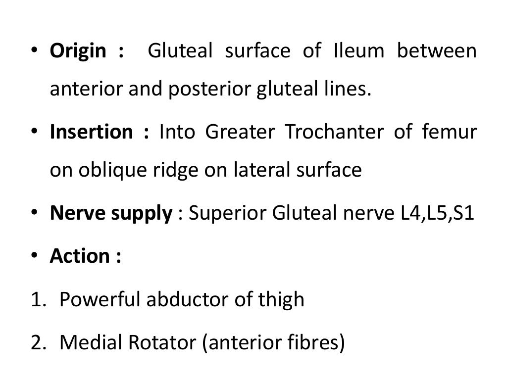 Gluteal region.pptx