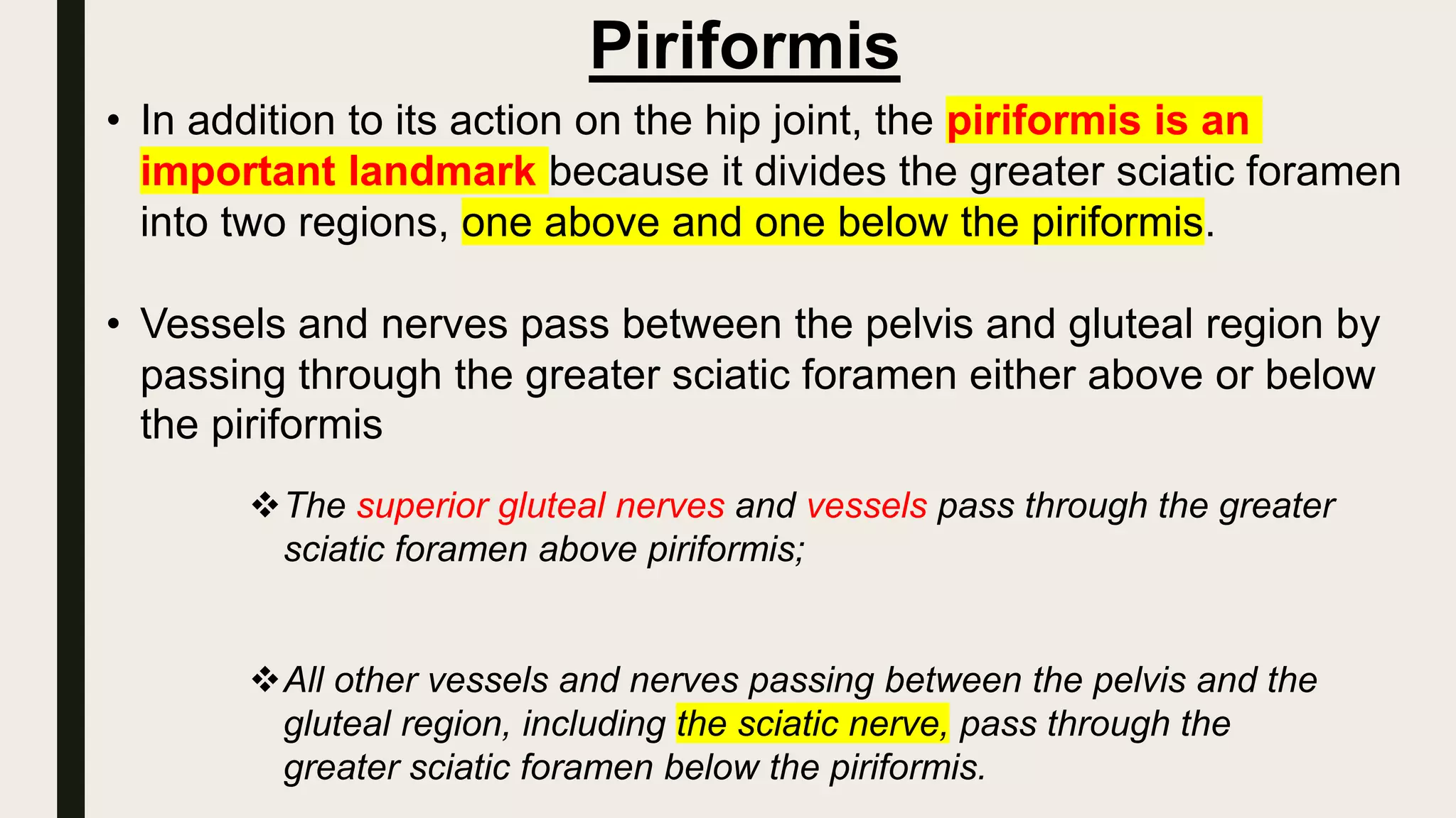 Gluteal region .pptx