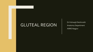 Gluteal region .pptx