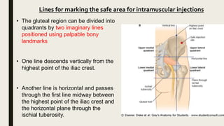 Gluteal region .pptx