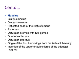 GLUTEAL REGION.pptx