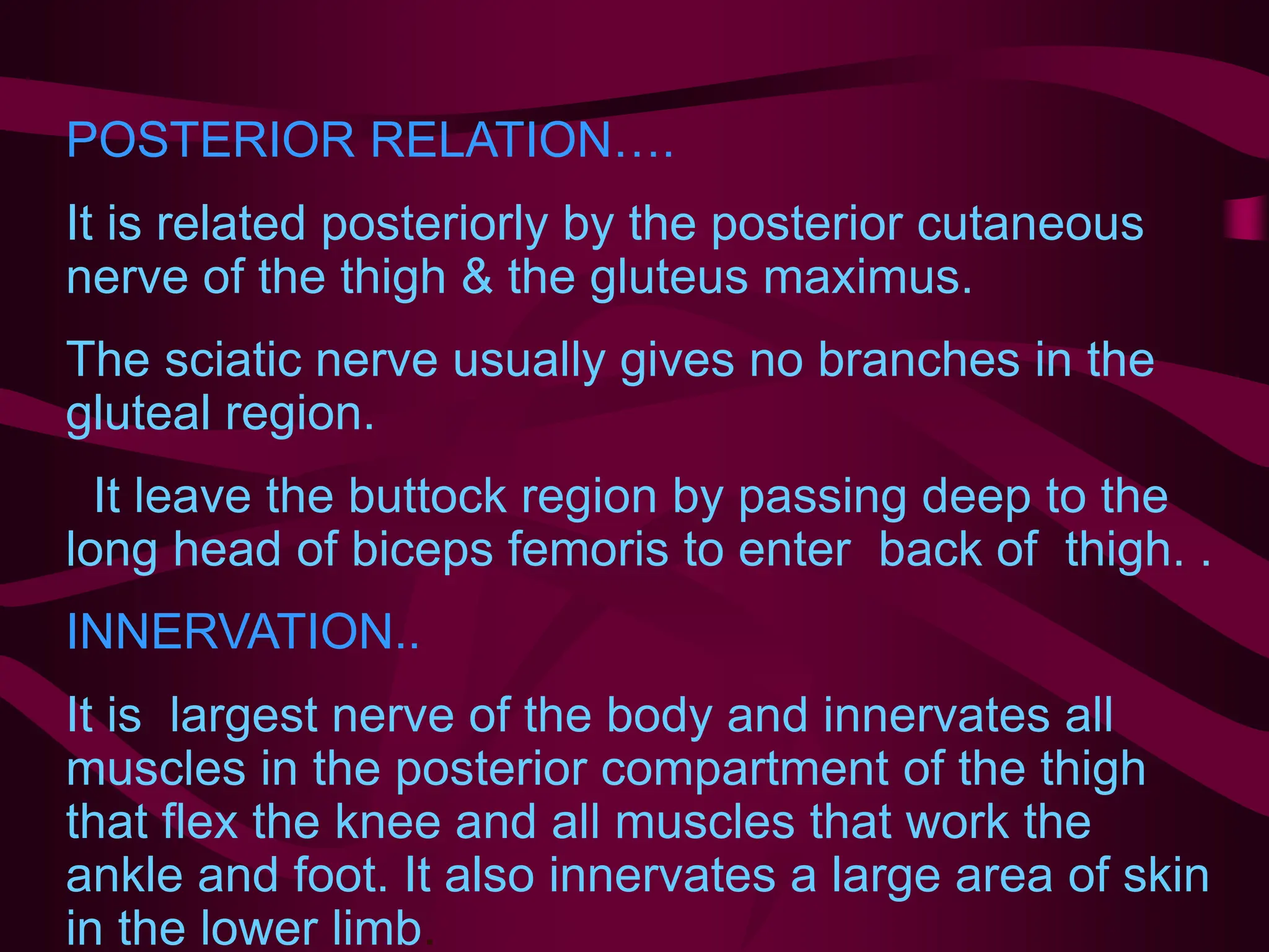 glutealregion.ppt