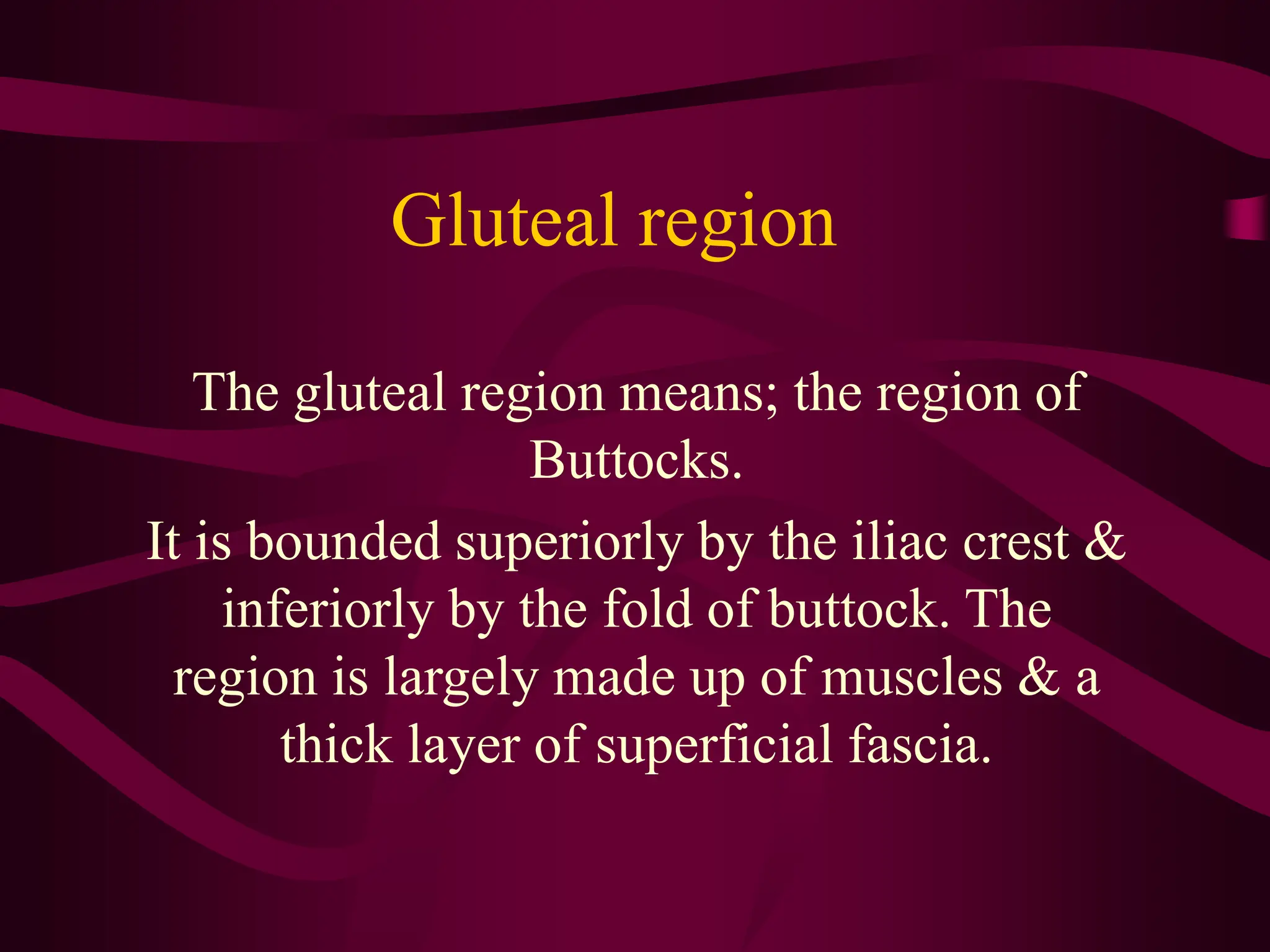 glutealregion.ppt