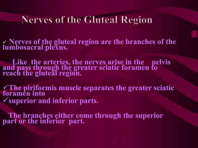 glutealregion.ppt