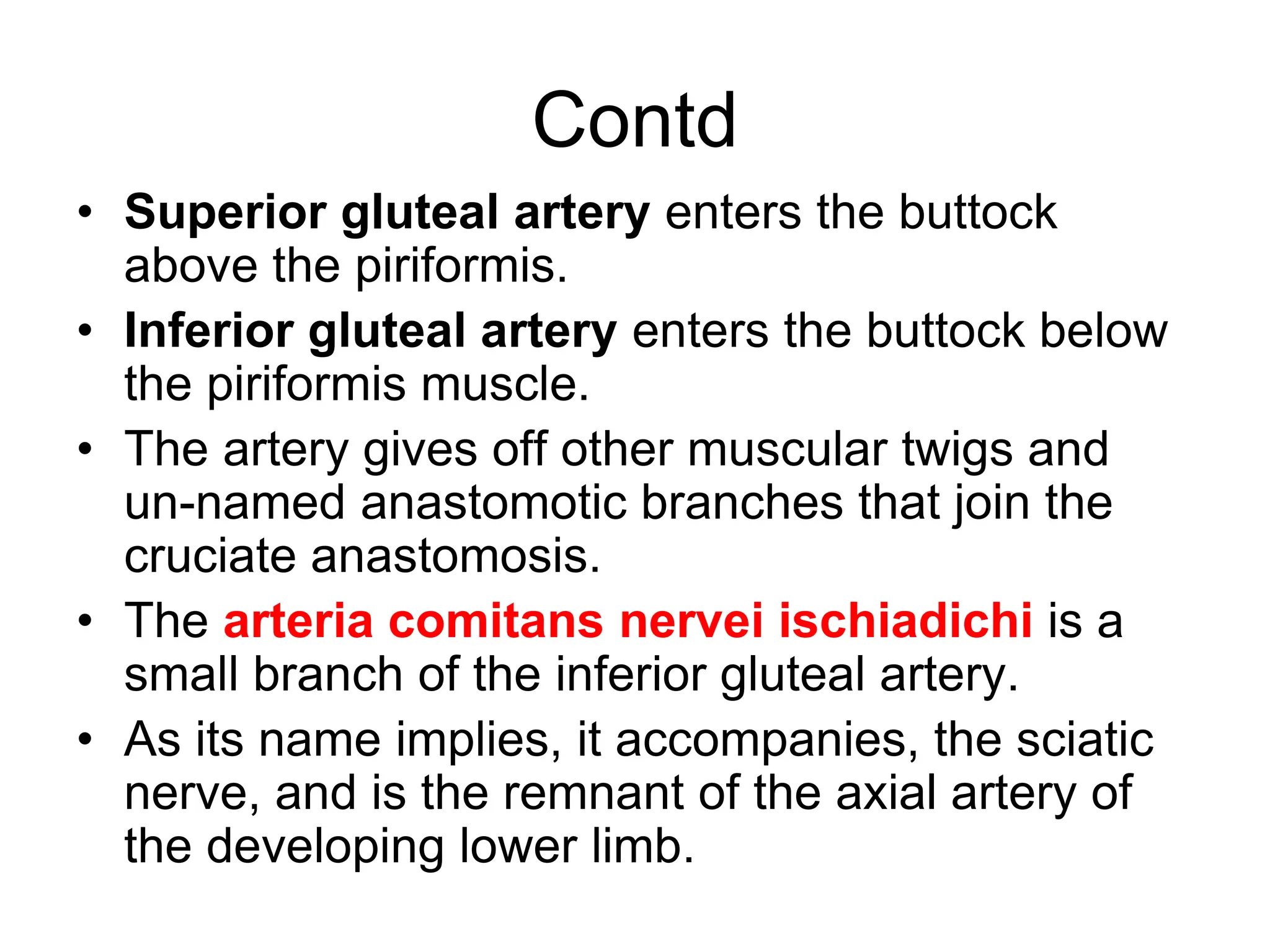 Anatomy of the GLUTEAL REGION........ By Shapi.pdf
