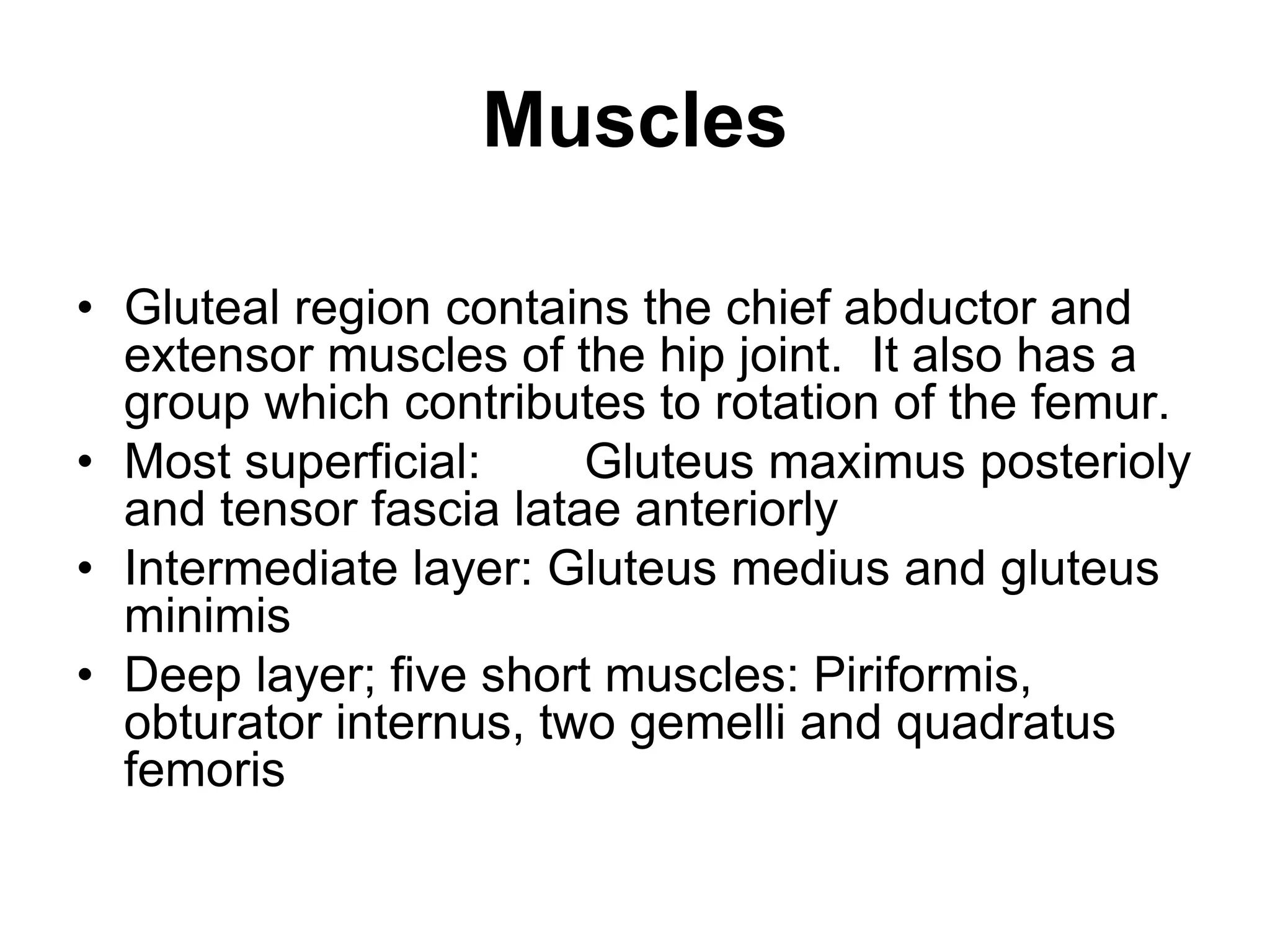 Anatomy of the GLUTEAL REGION........ By Shapi.pdf