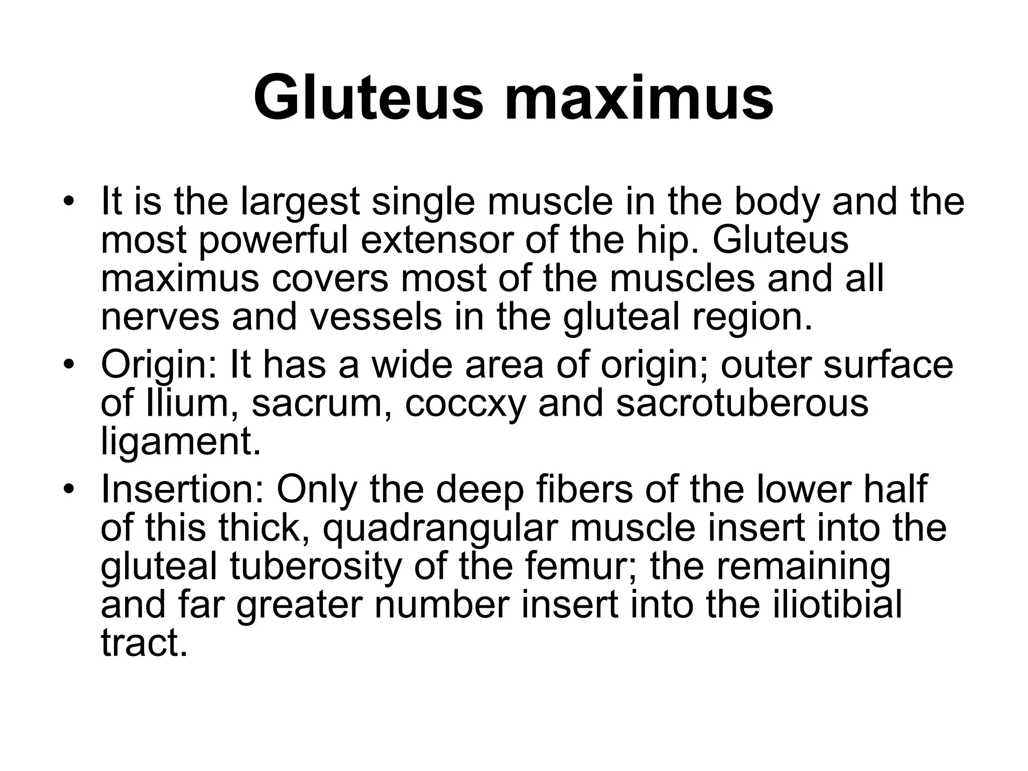 Anatomy of the GLUTEAL REGION........ By Shapi.pdf