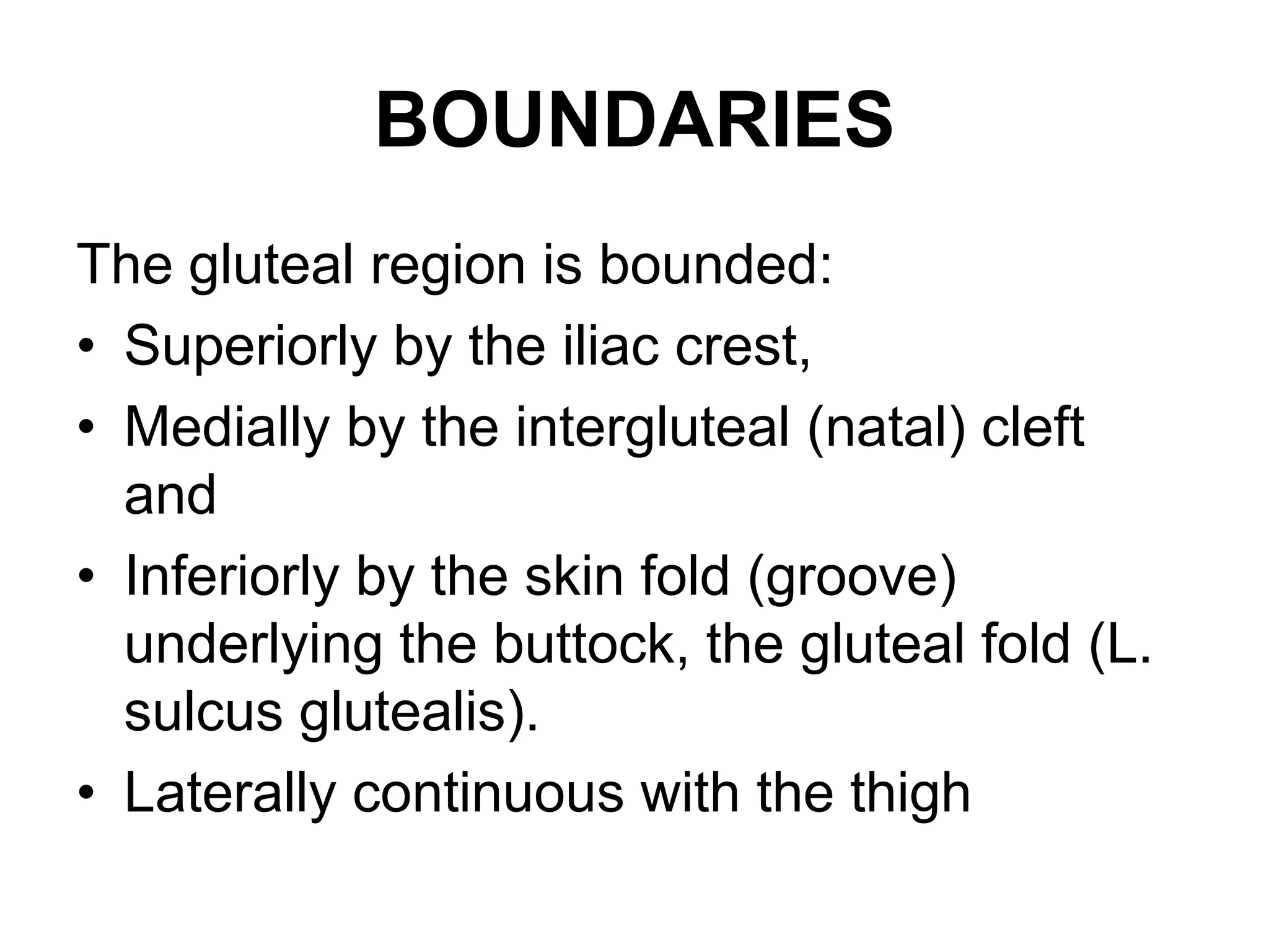 Anatomy of the GLUTEAL REGION........ By Shapi.pdf