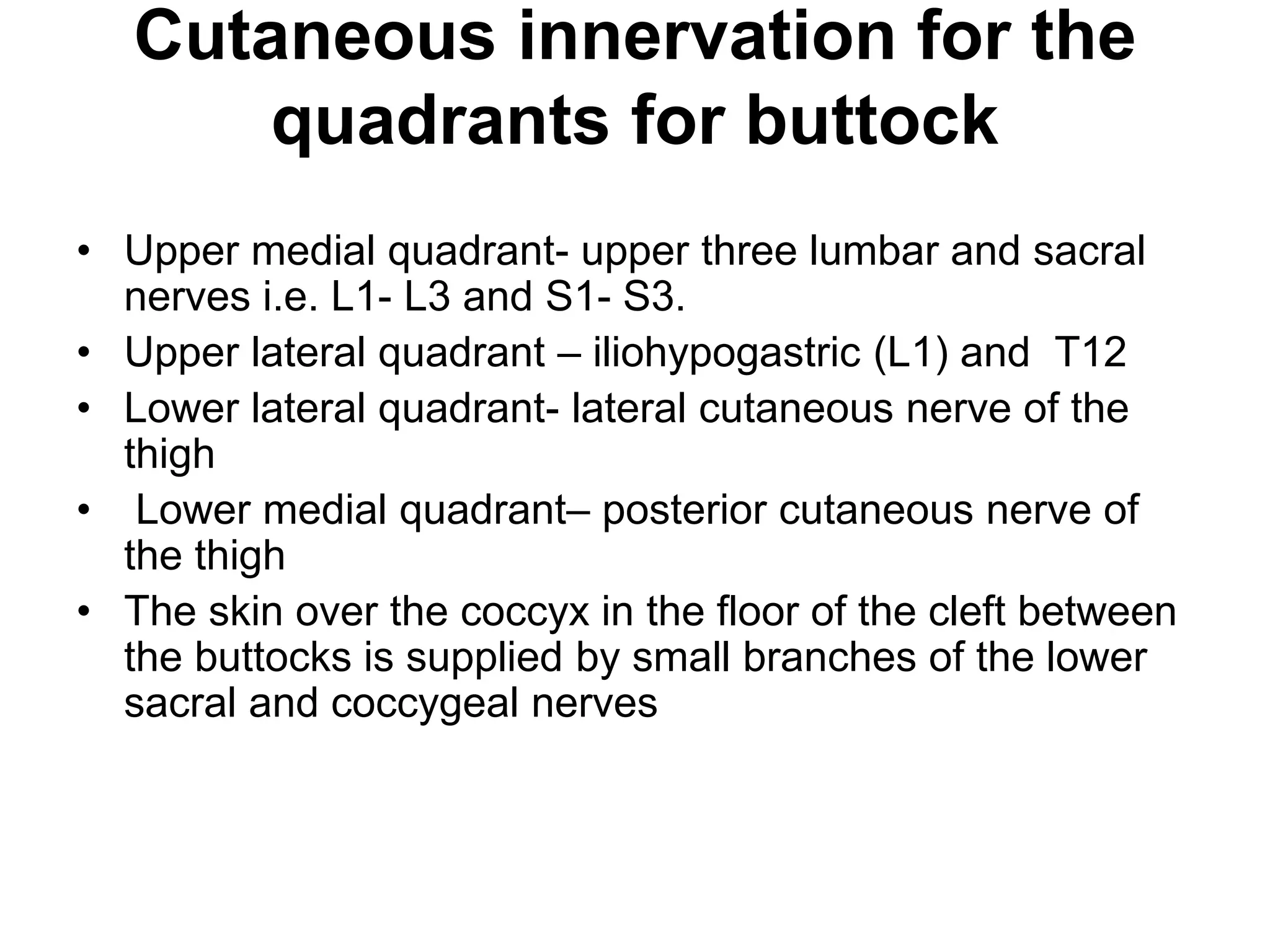 Anatomy of the GLUTEAL REGION........ By Shapi.pdf