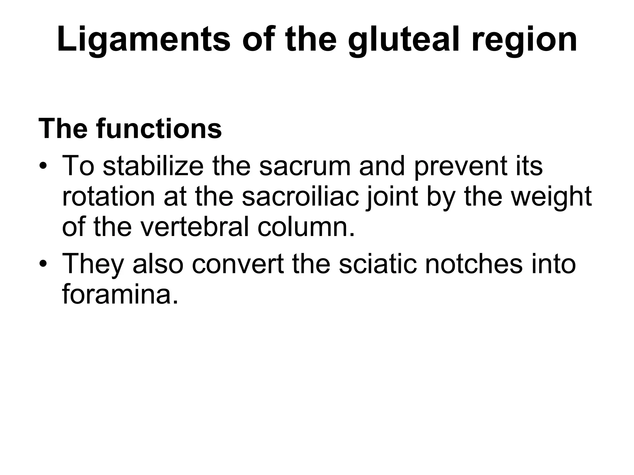 Anatomy of the GLUTEAL REGION........ By Shapi.pdf