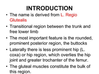Anatomy of the GLUTEAL REGION........ By Shapi.pdf