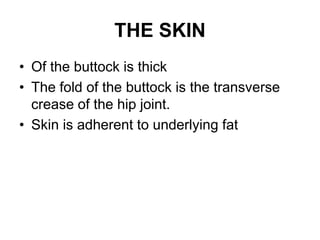 Anatomy of the GLUTEAL REGION........ By Shapi.pdf