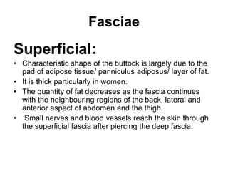 Anatomy of the GLUTEAL REGION........ By Shapi.pdf