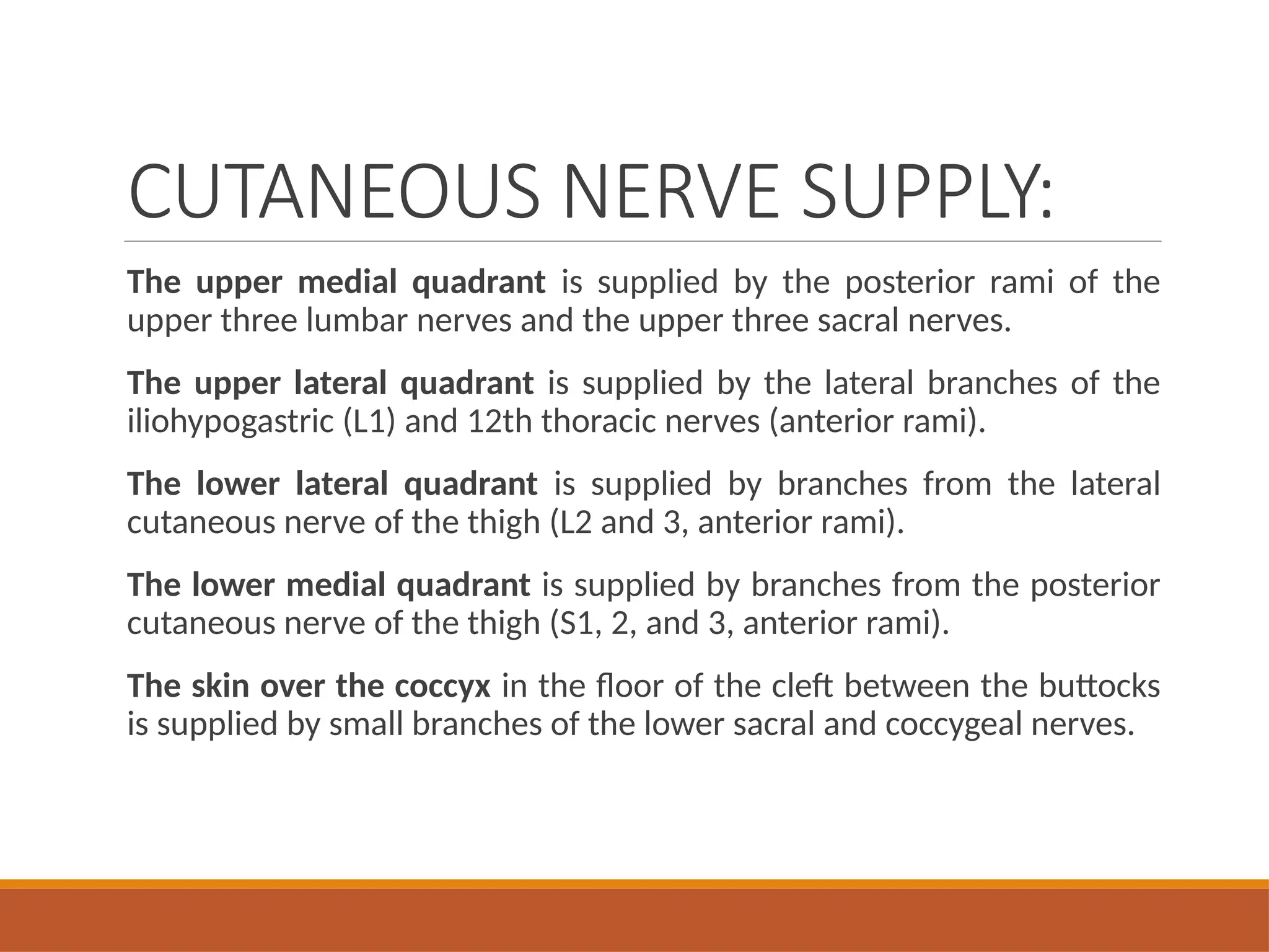 Gluteal Region (anatomy of muscles & Nerve supply) | PPTX