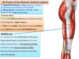 gluteal_region_ash.pdyujjjjjjjfdðrfvchjb | PDF