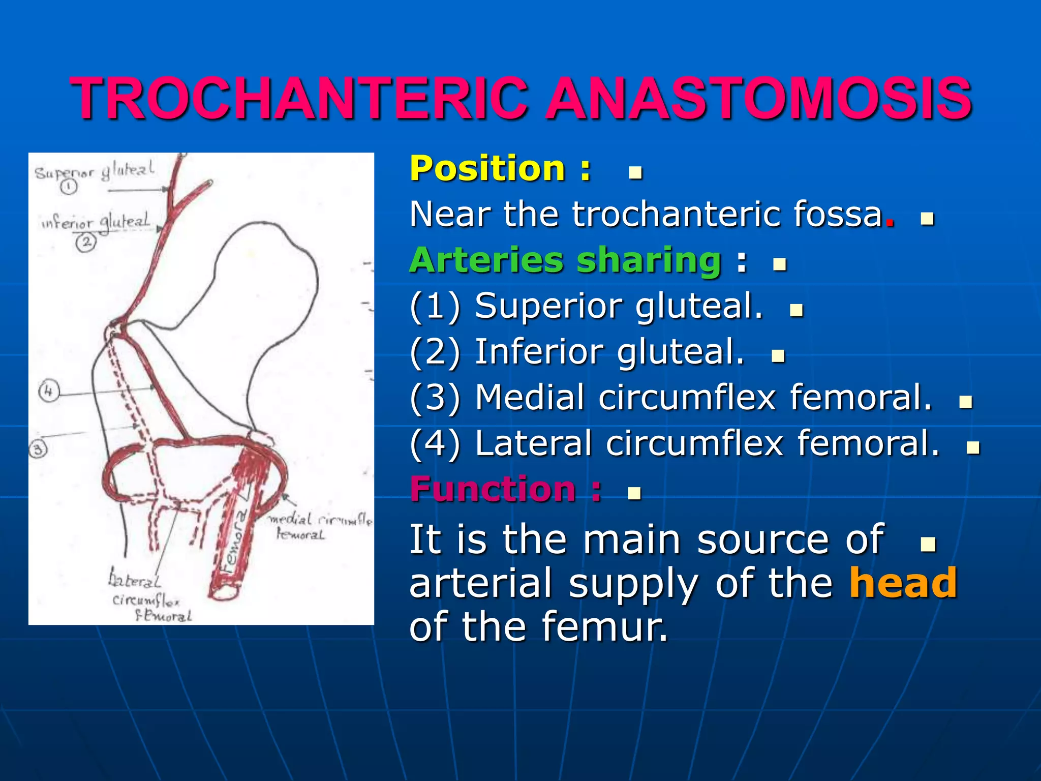 gluteal region BPT.pptx