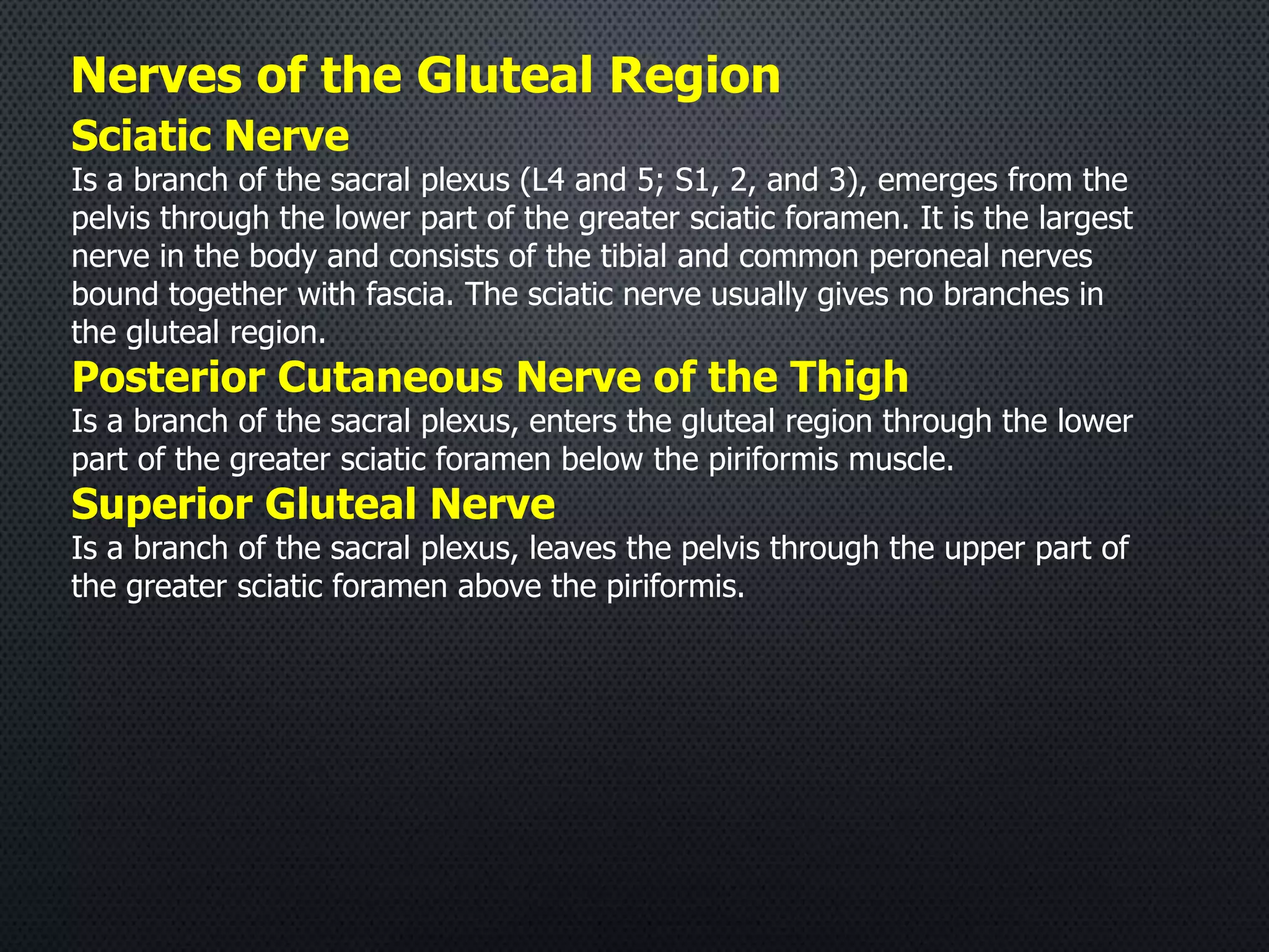 Gluteal region by insha ur rahman | PPT