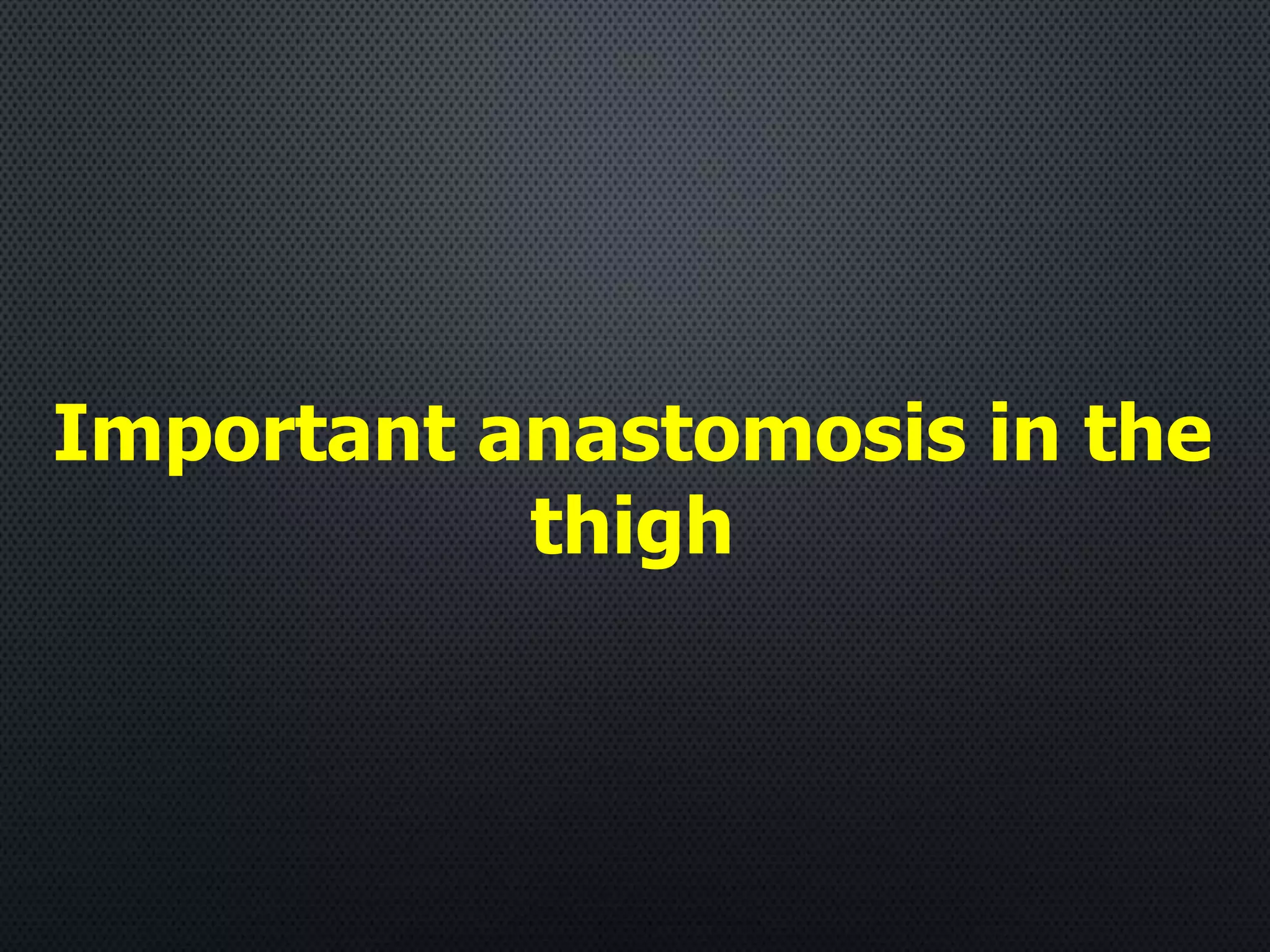 Gluteal region by insha ur rahman | PPTX