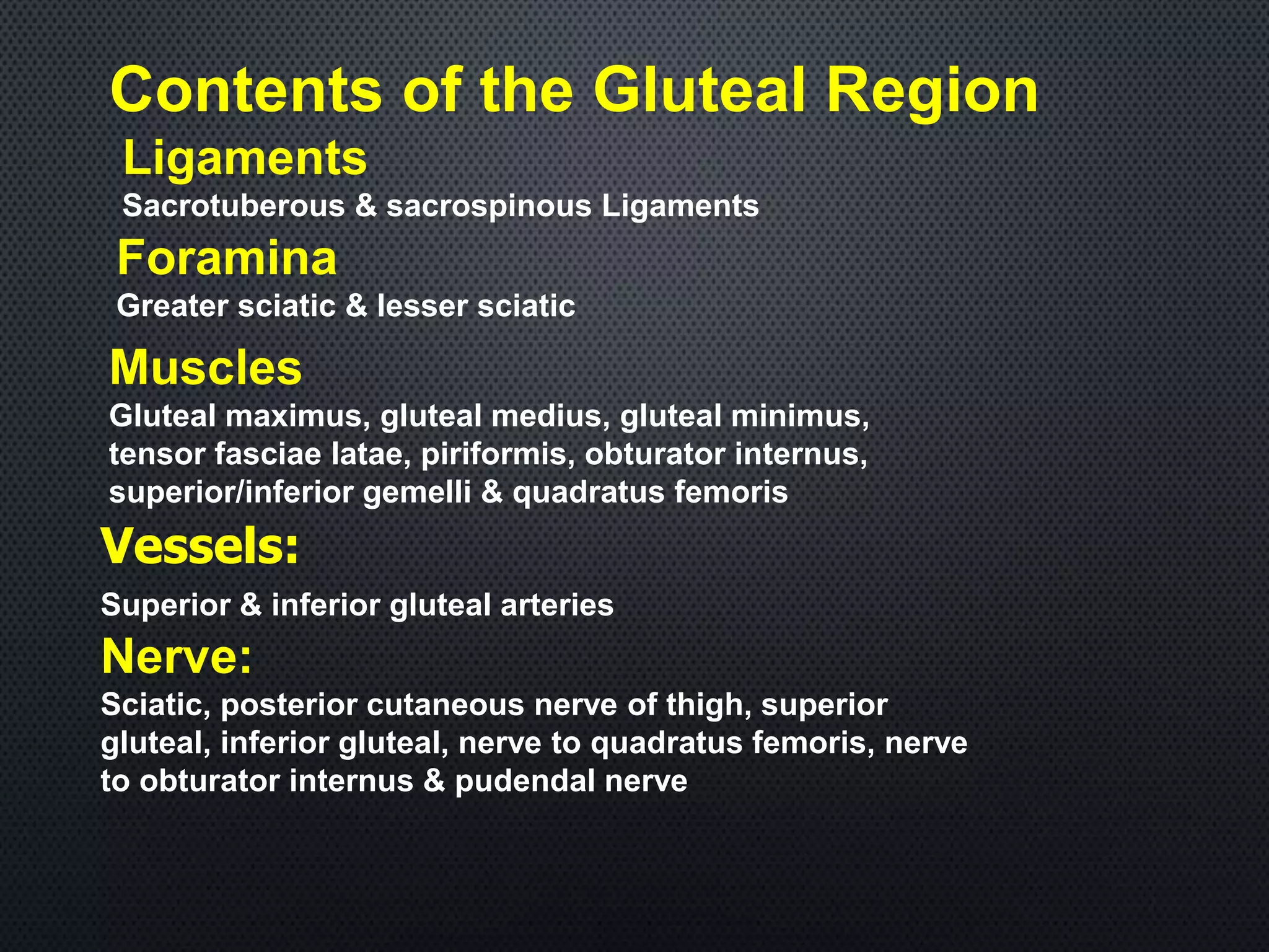Gluteal region by insha ur rahman | PPT