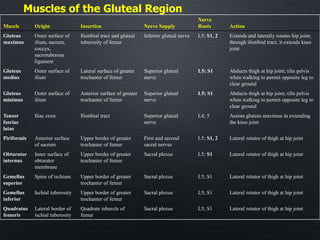 Gluteal region by insha ur rahman | PPT