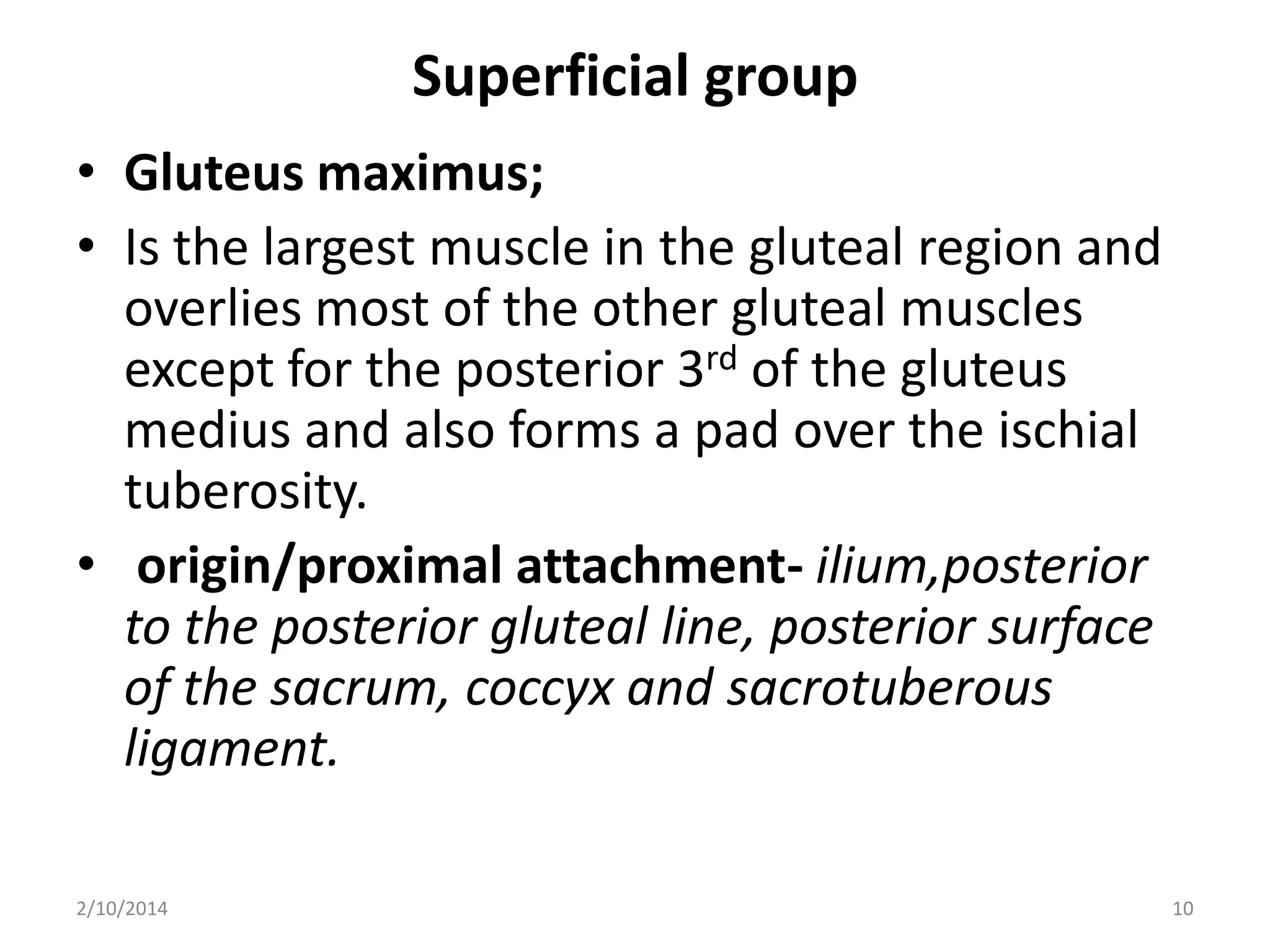 Gluteal region complete | PPTX