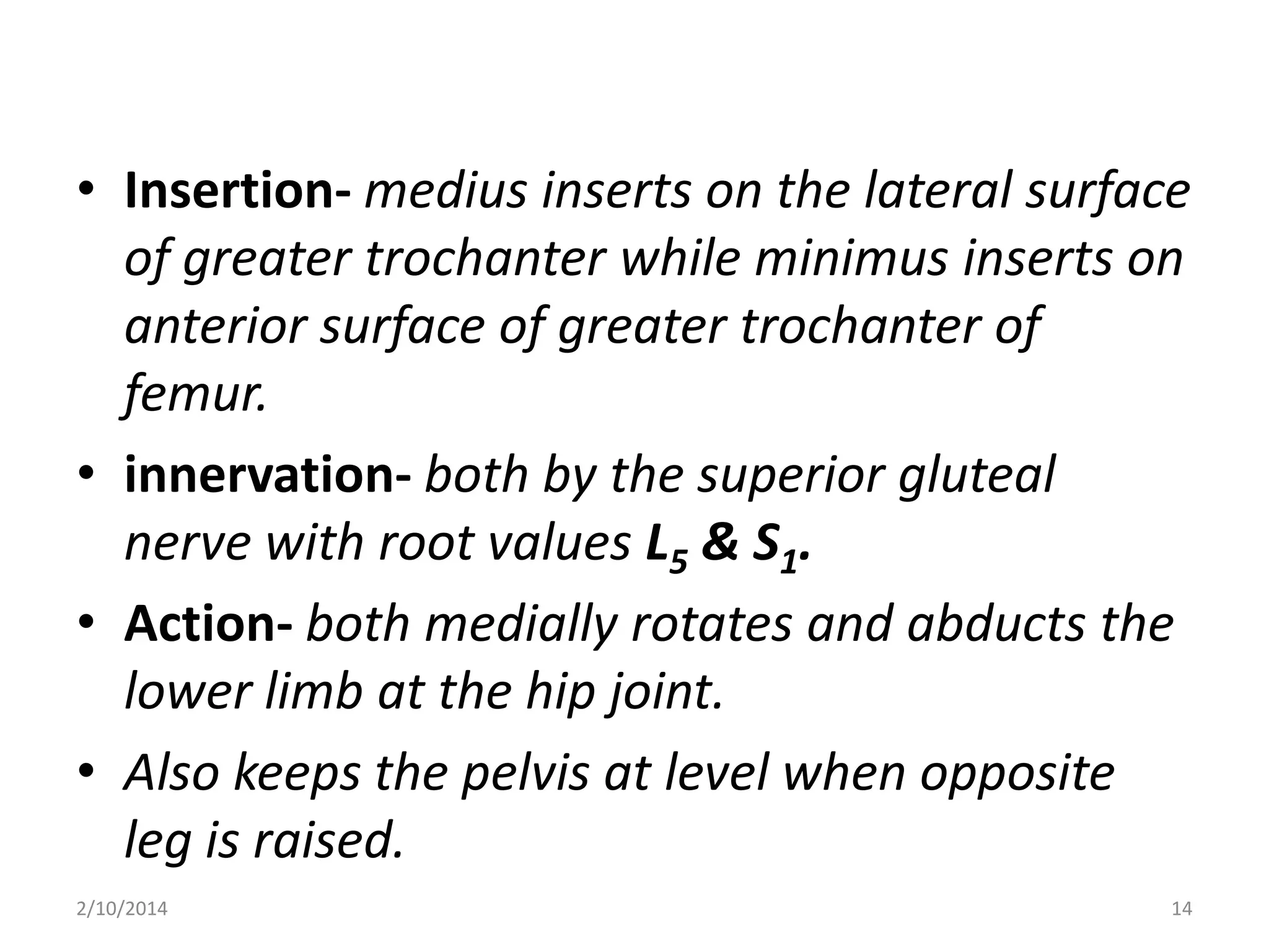 Gluteal region complete | PPTX