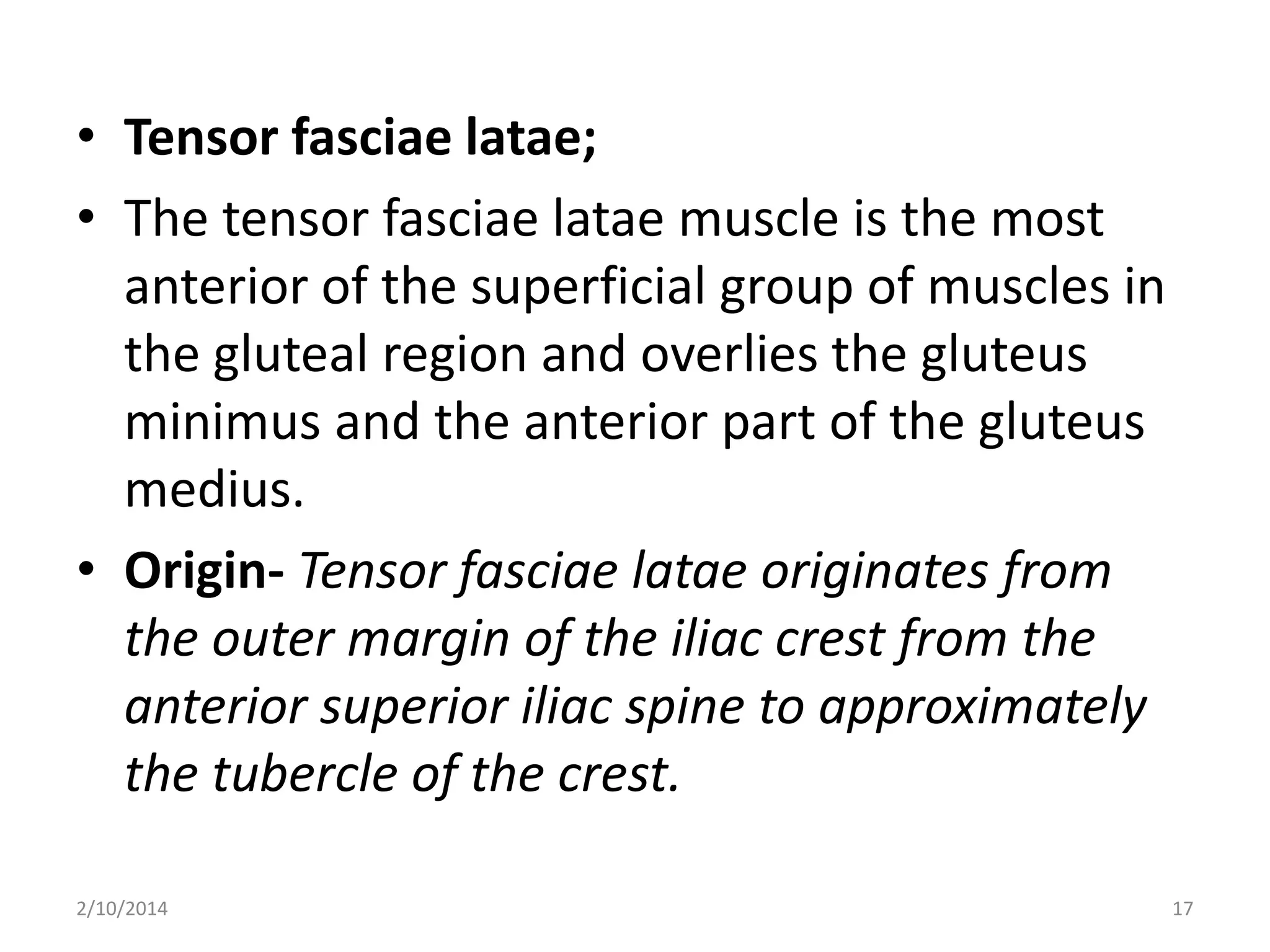 Gluteal region complete | PPTX