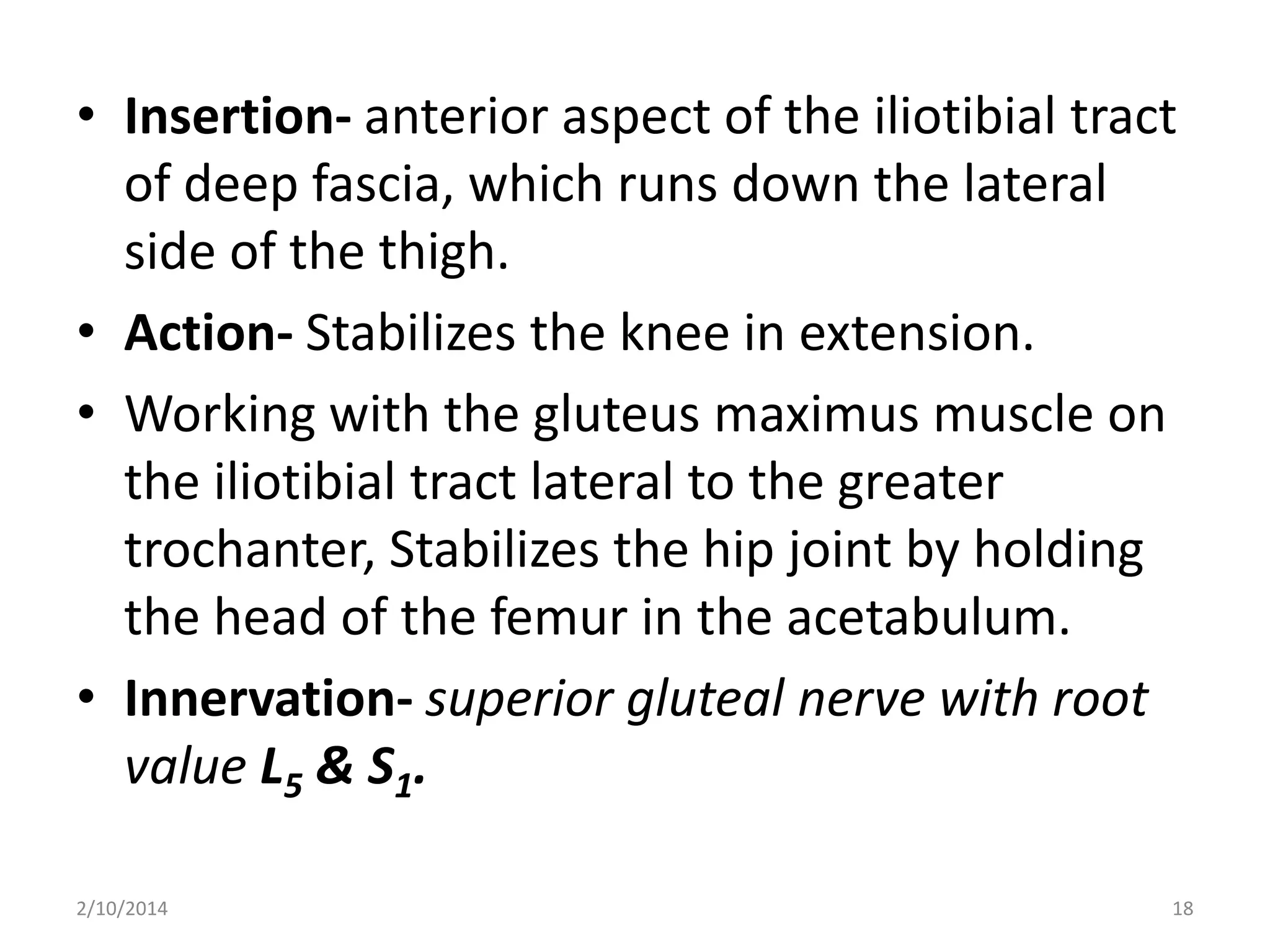 Gluteal region complete | PPTX