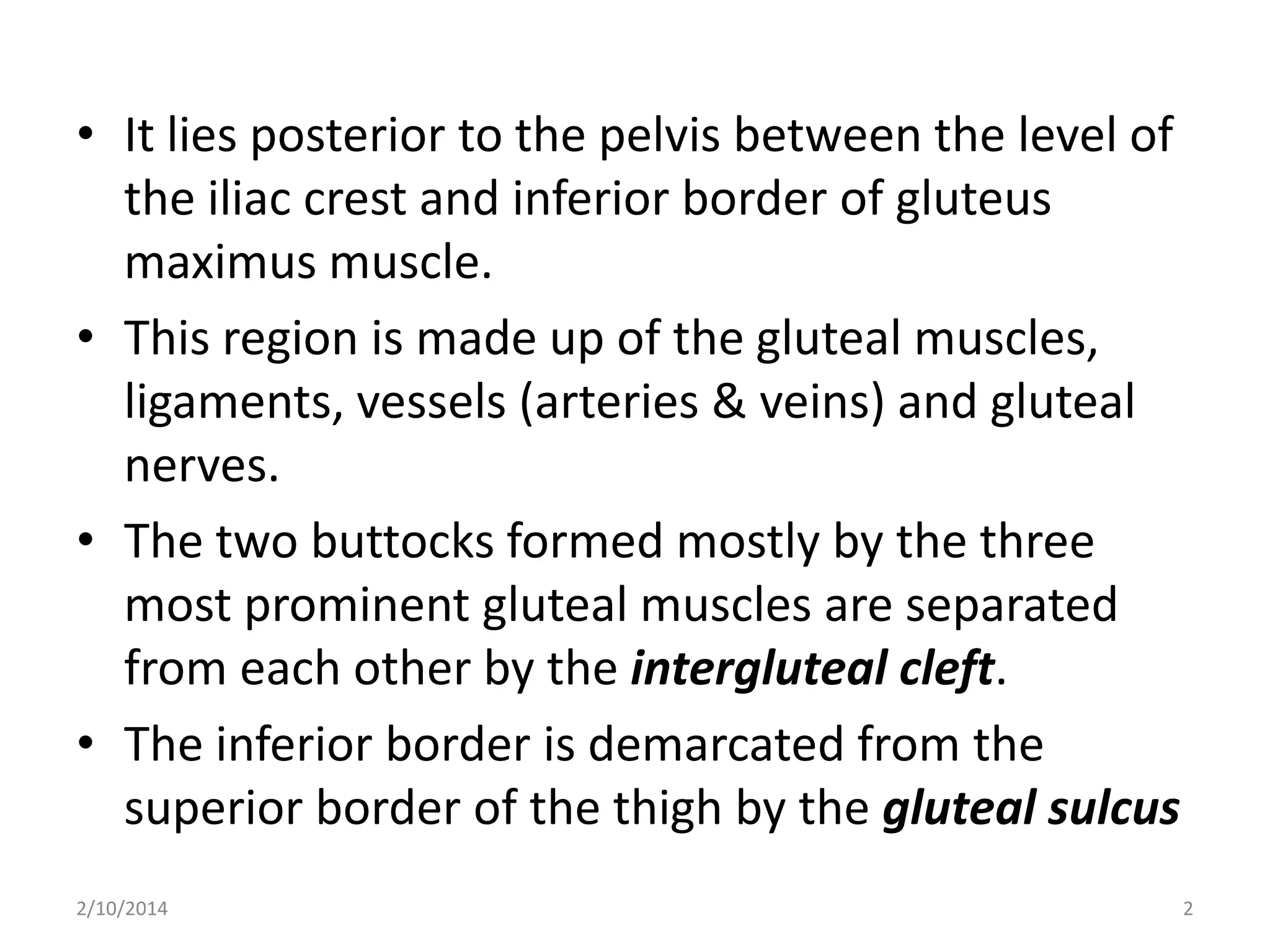 Gluteal region complete | PPTX
