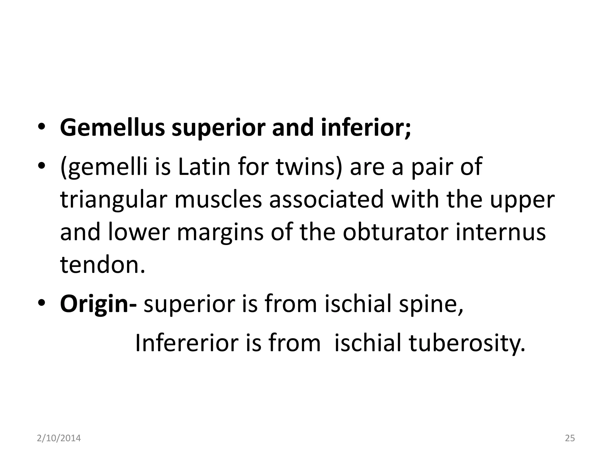 Gluteal region complete | PPTX