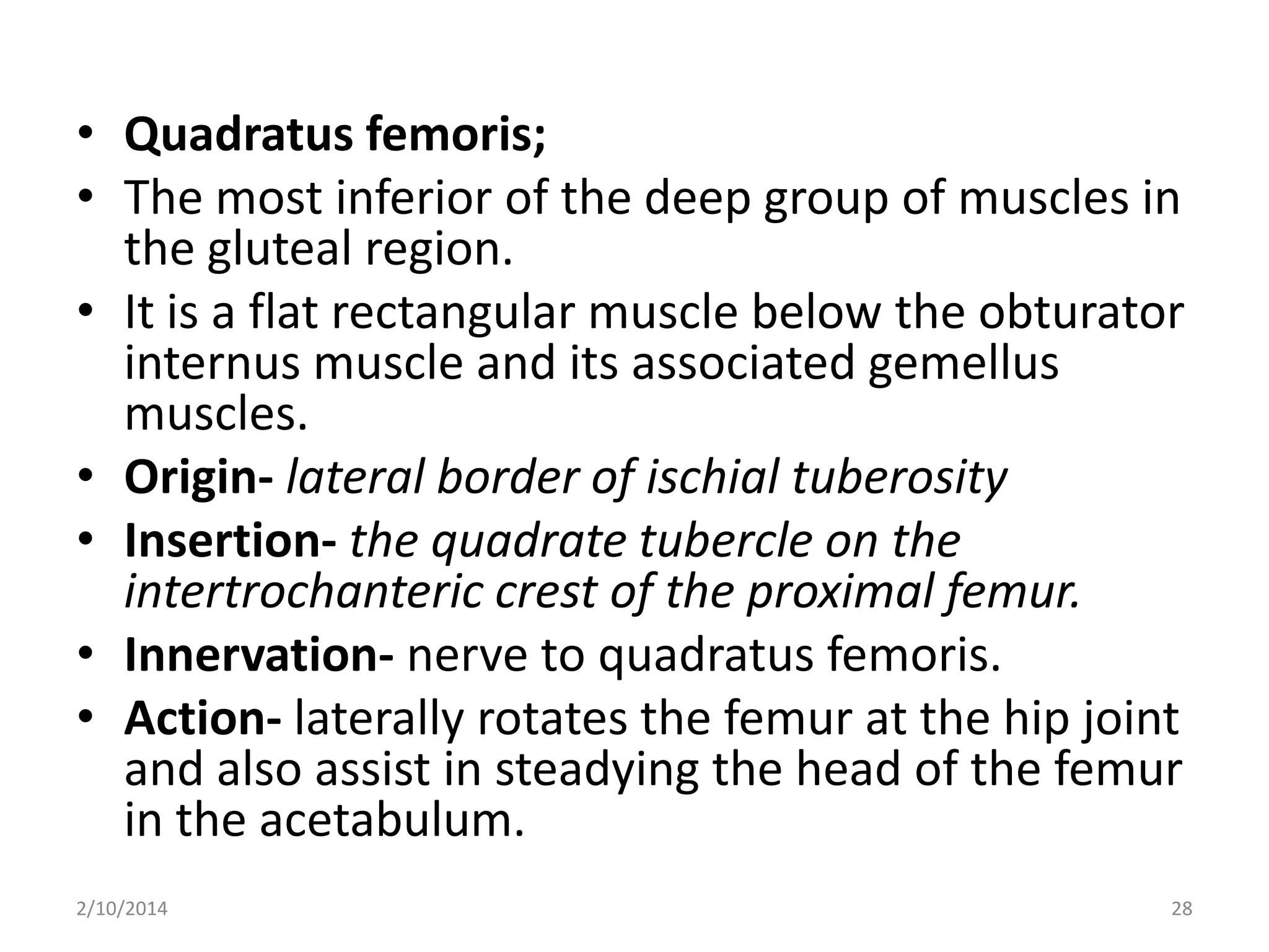 Gluteal region complete | PPTX