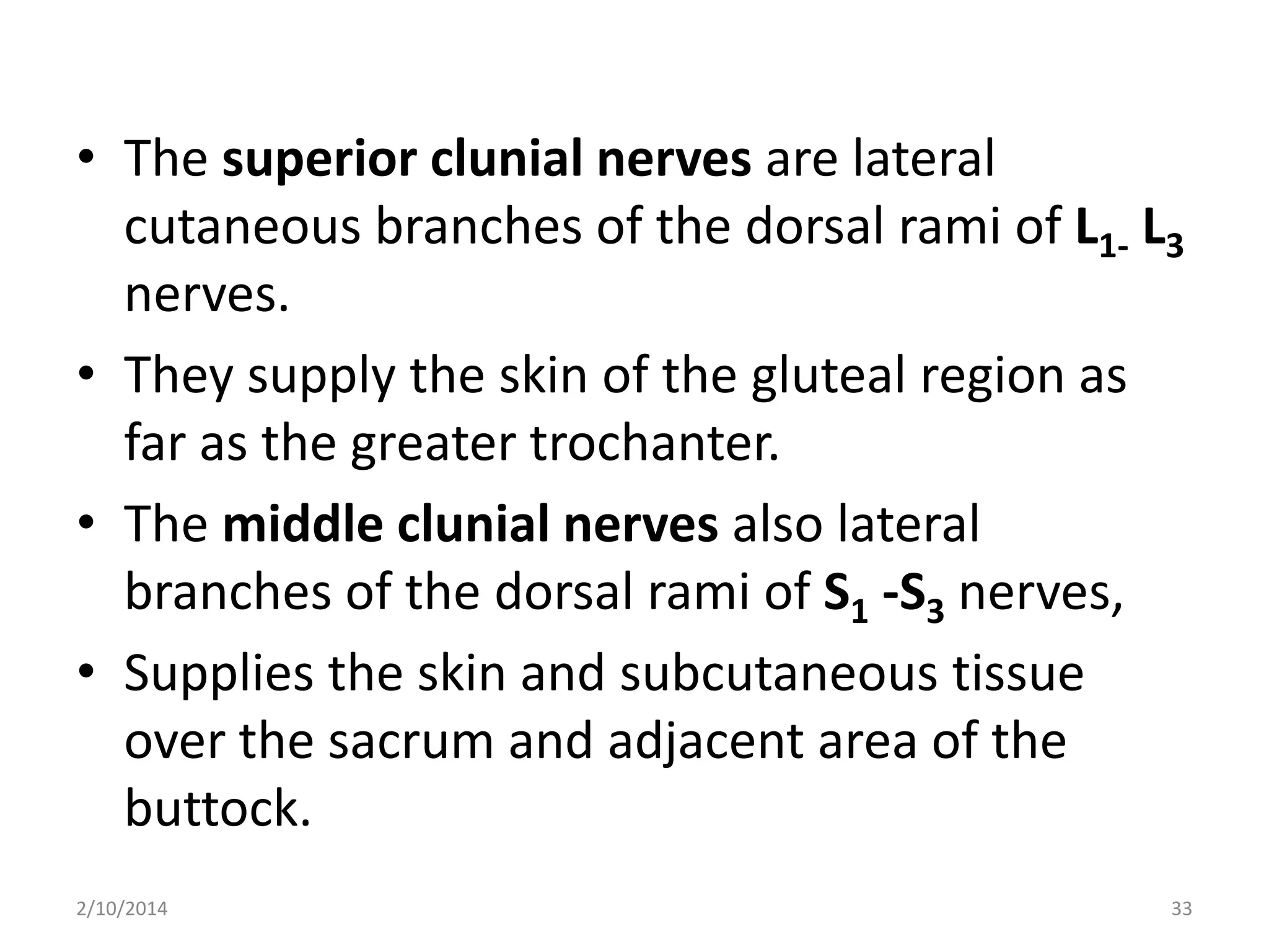 Gluteal region complete | PPTX