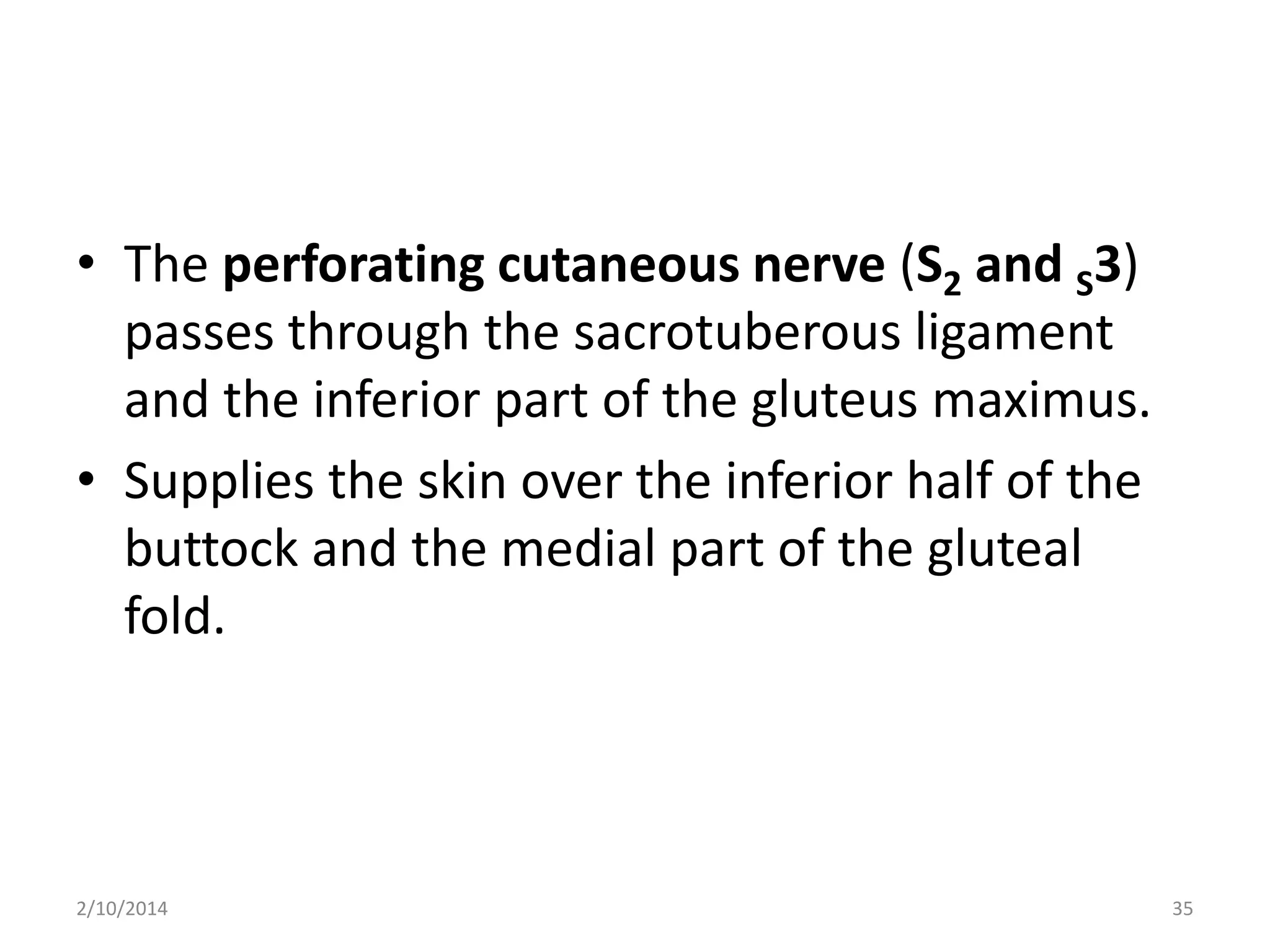 Gluteal region complete | PPTX