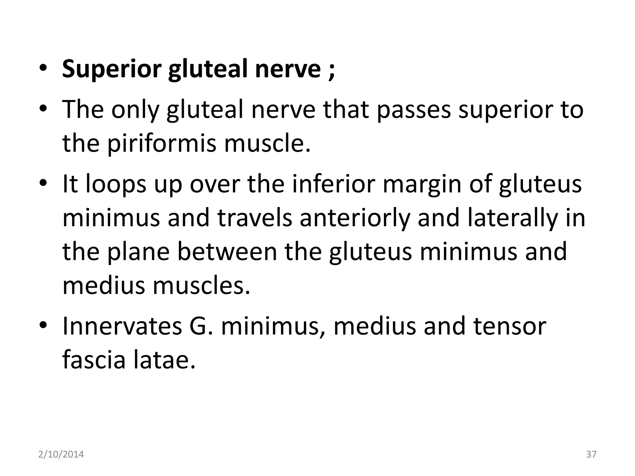 Gluteal region complete | PPTX