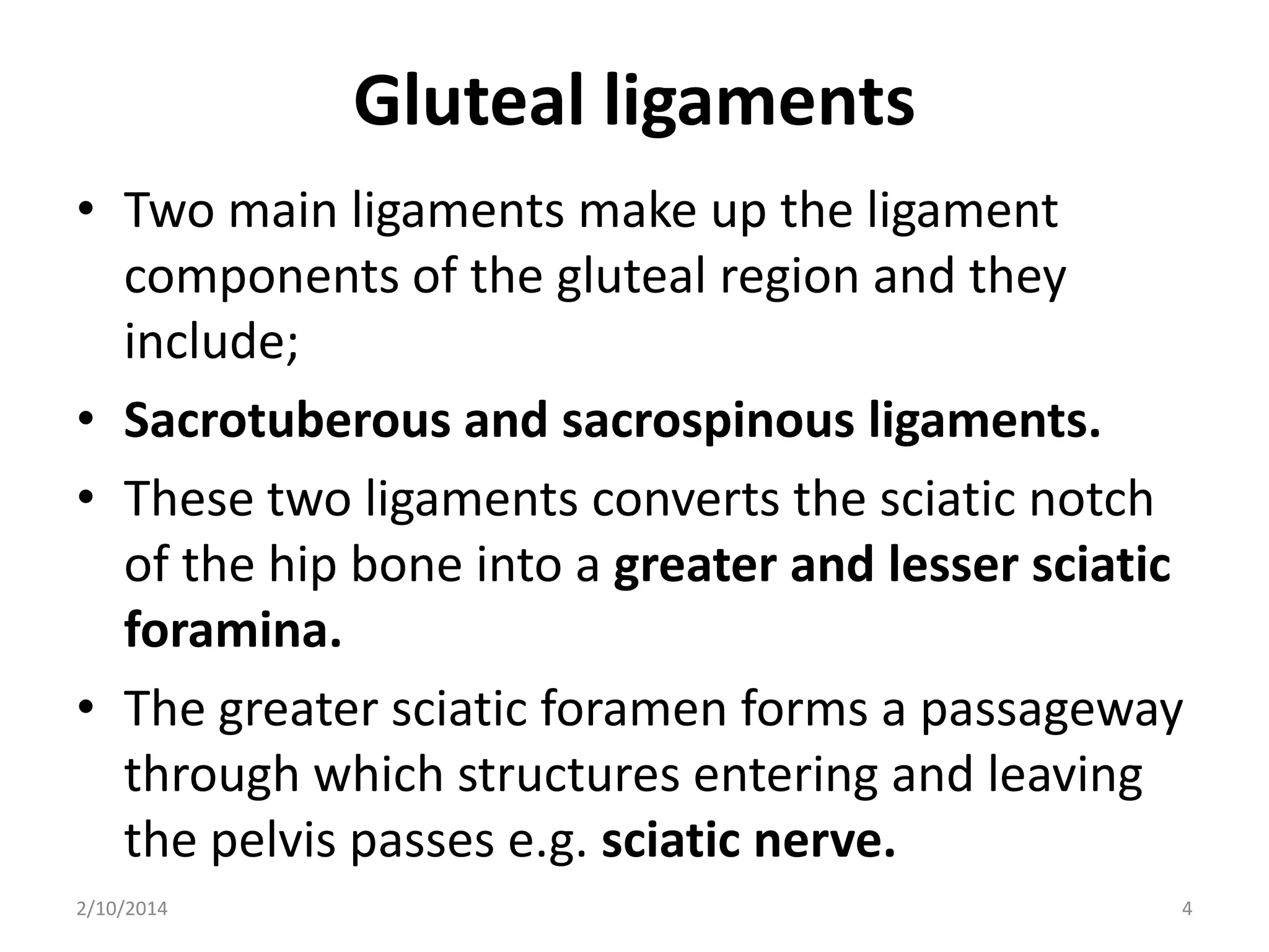 Gluteal region complete | PPTX
