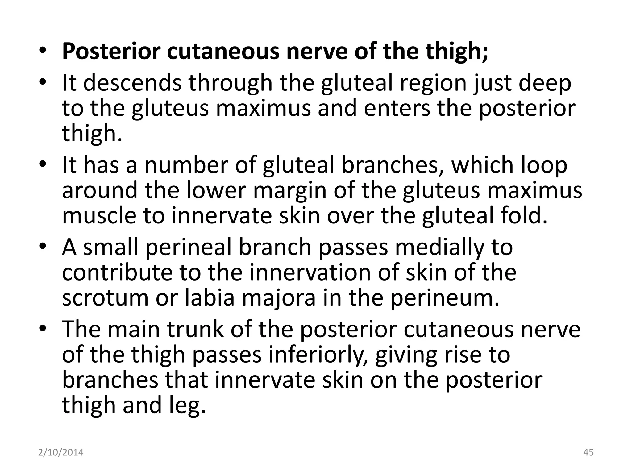 Gluteal region complete | PPTX